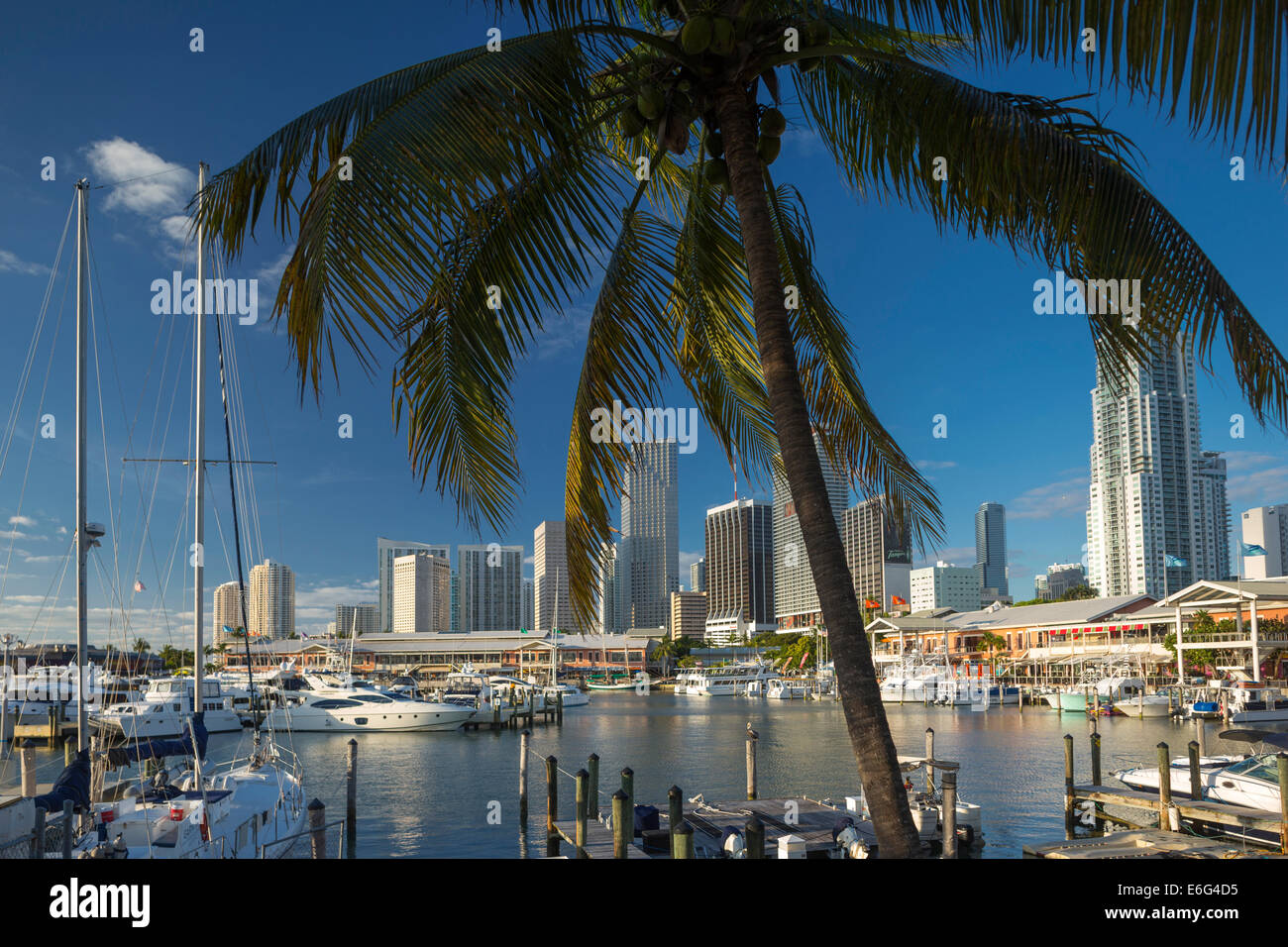 BAYSIDE MARKETPLACE MARINA DOWNTOWN MIAMI FLORIDA USA Stock Photo - Alamy