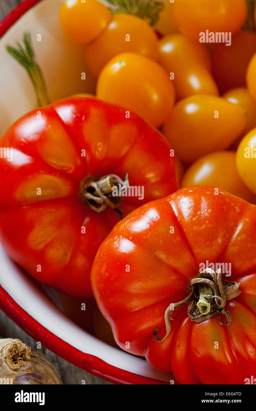 Freshly picked tomatoes hi-res stock photography and images - Alamy