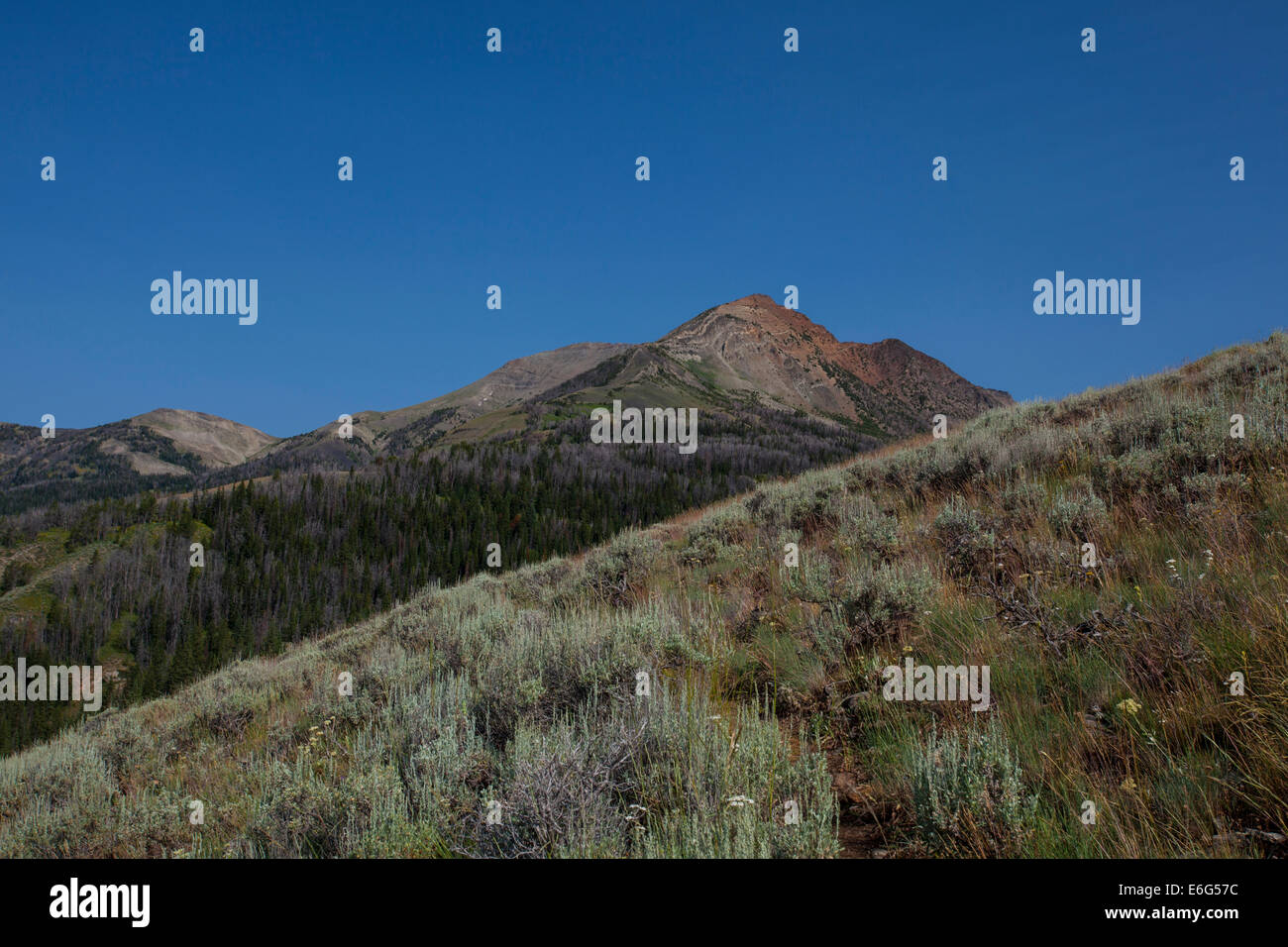 The dramatic 3343m Electric Peak, in the Gallatin Range, Montana, in ...