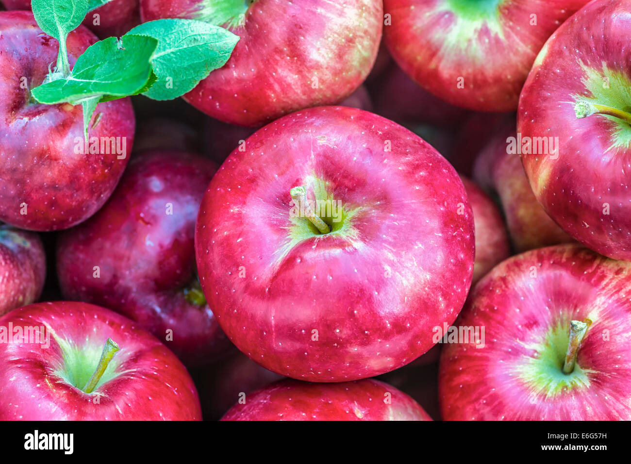 A background of shiny Honeycrisp Apples Stock Photo - Alamy