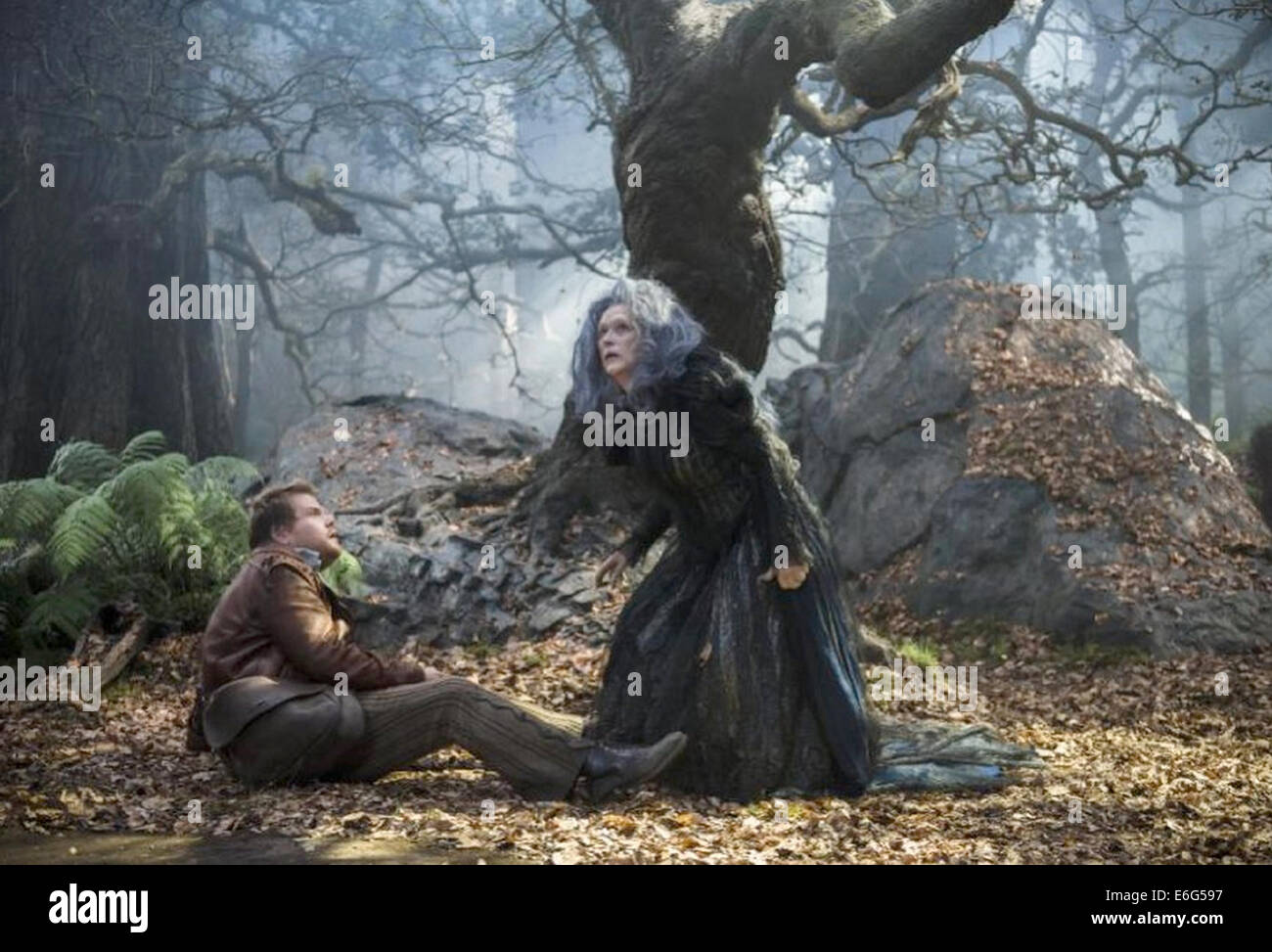 INTO THE WOODS 2014 Walt Disney Studios film with Meryl Streep and ...