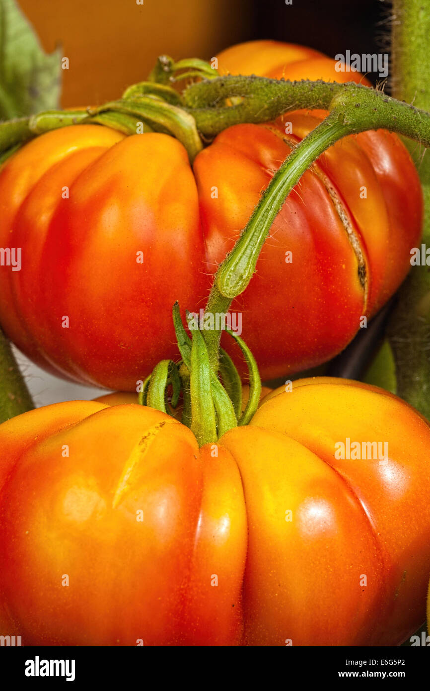 Ripe orange heirloom beefsteak hi-res stock photography and images - Alamy