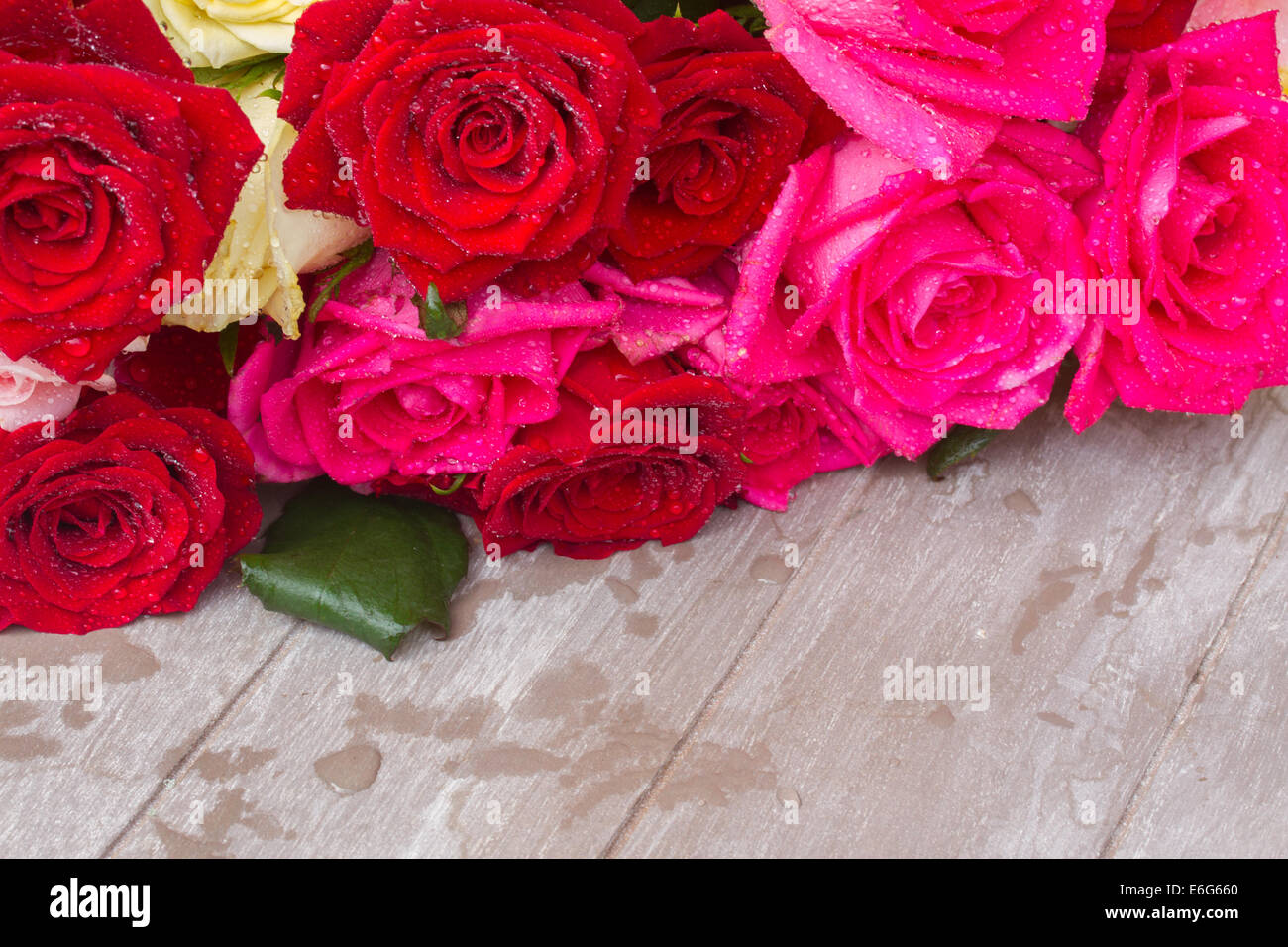 red and pink roses on table Stock Photo - Alamy