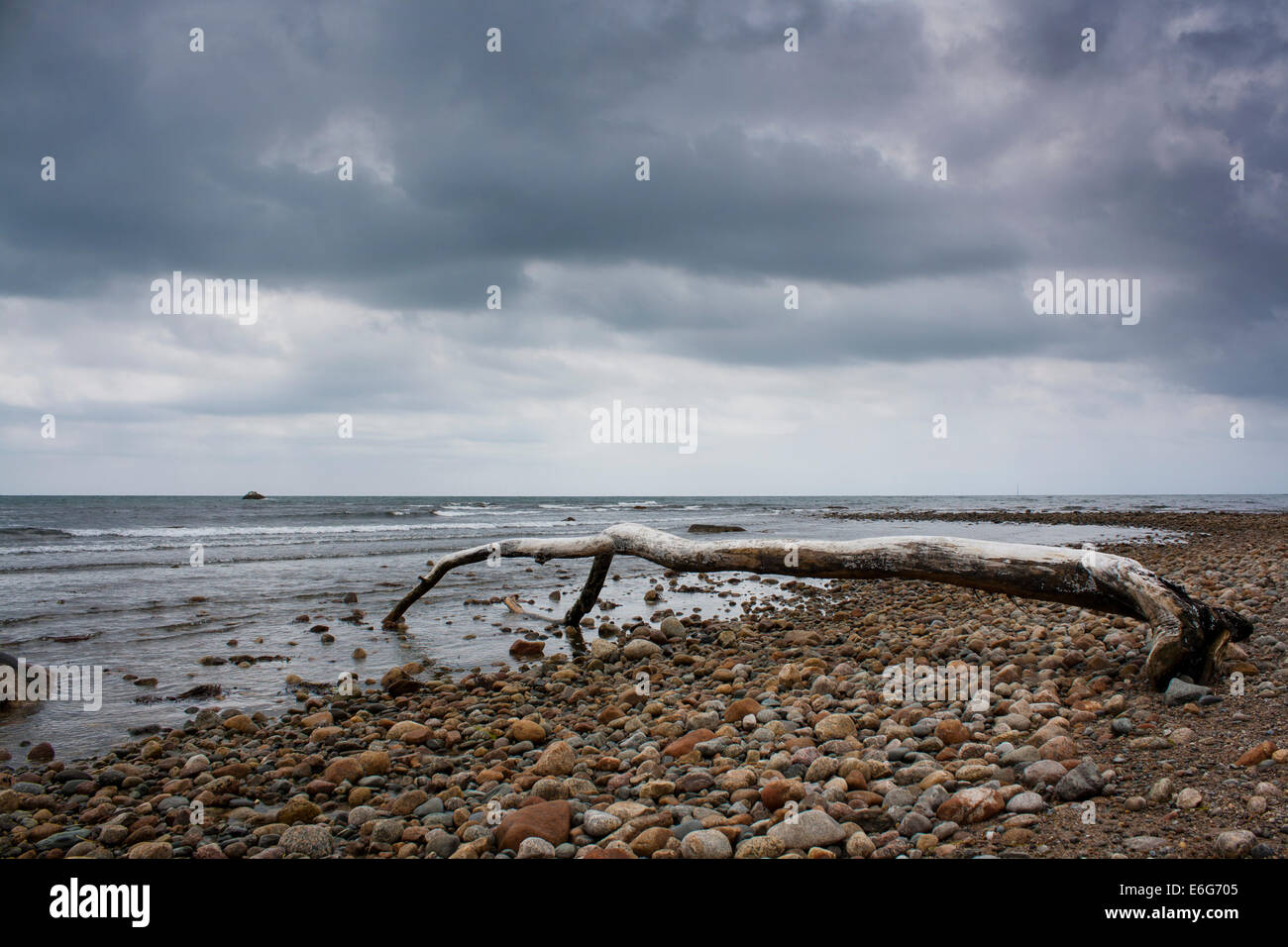 Driftwood on Beach Stock Photo - Alamy
