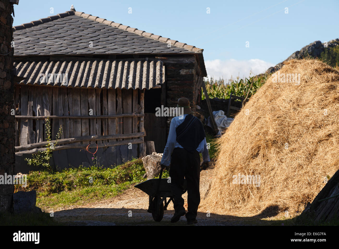 Old man working. Martul. Los Oscos. Asturias province. Spain. Europe ...