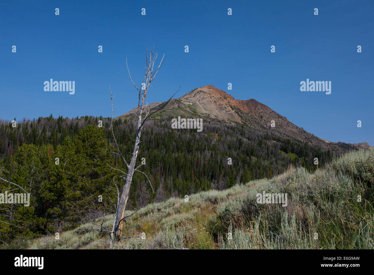 The dramatic 3343m Electric Peak, in the Gallatin Range, Montana, in ...