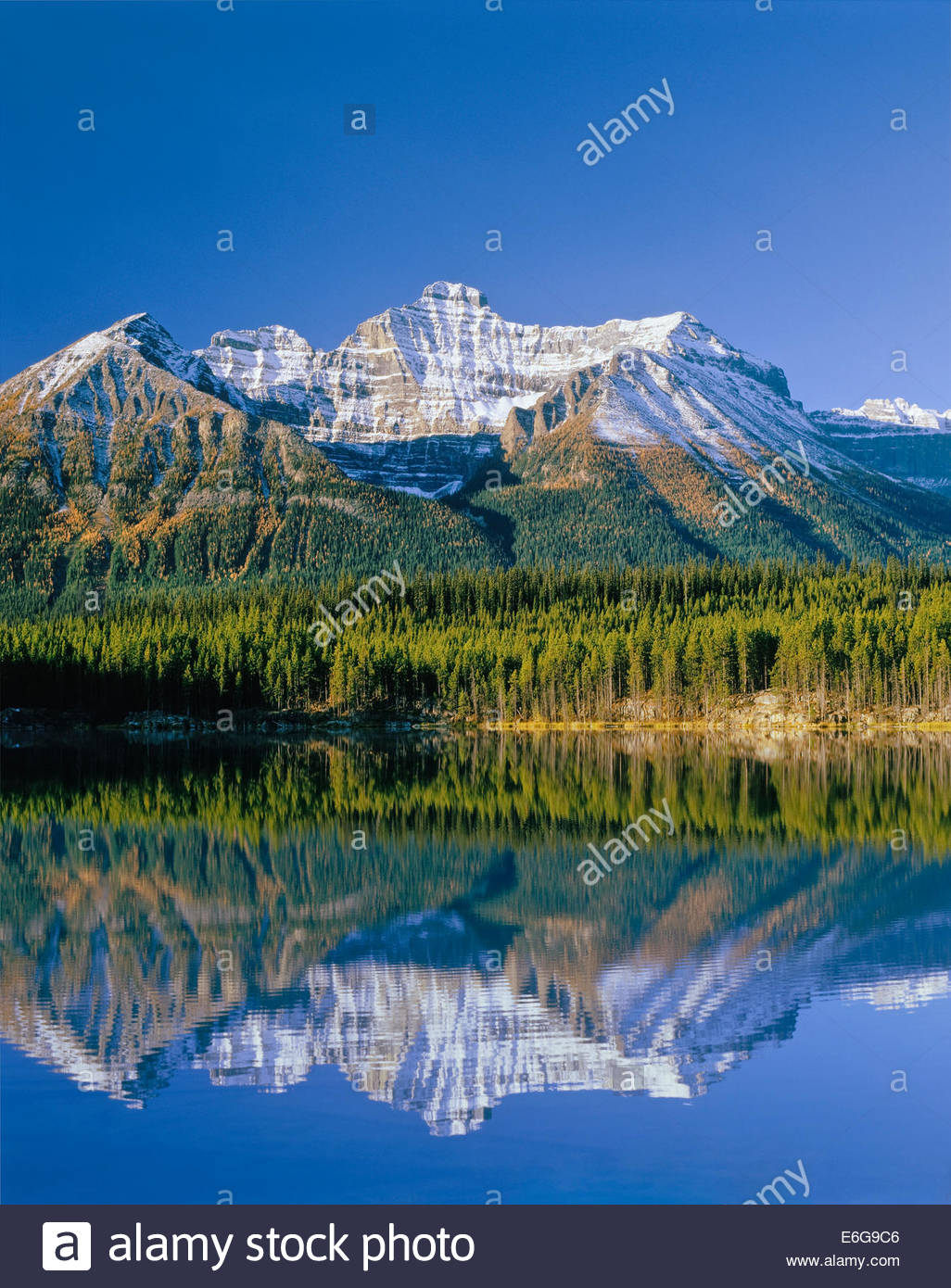 Herbert Lake In Banff National Park High Resolution Stock Photography ...