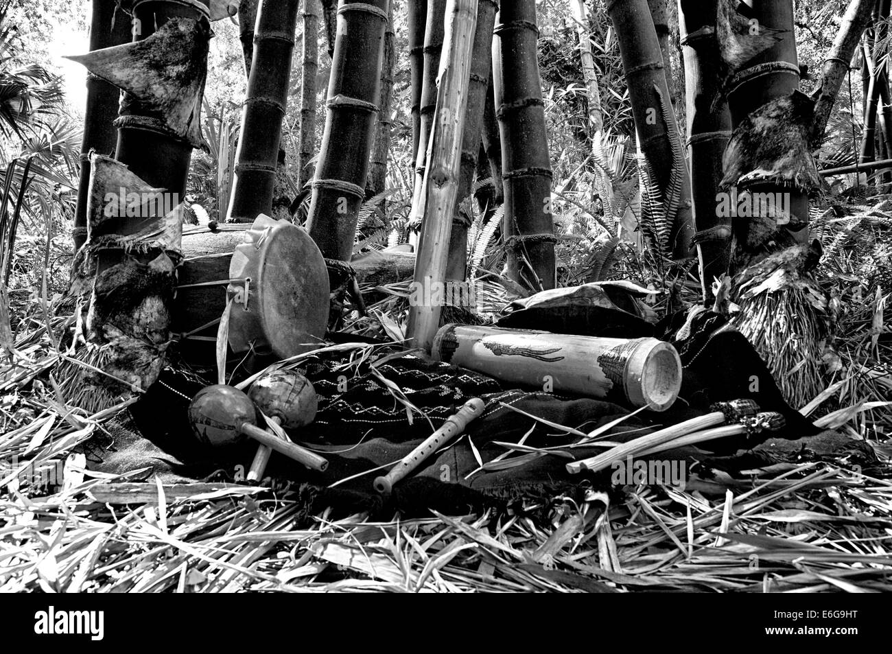 A collection of indigenous mayan musical instruments at the base of ...