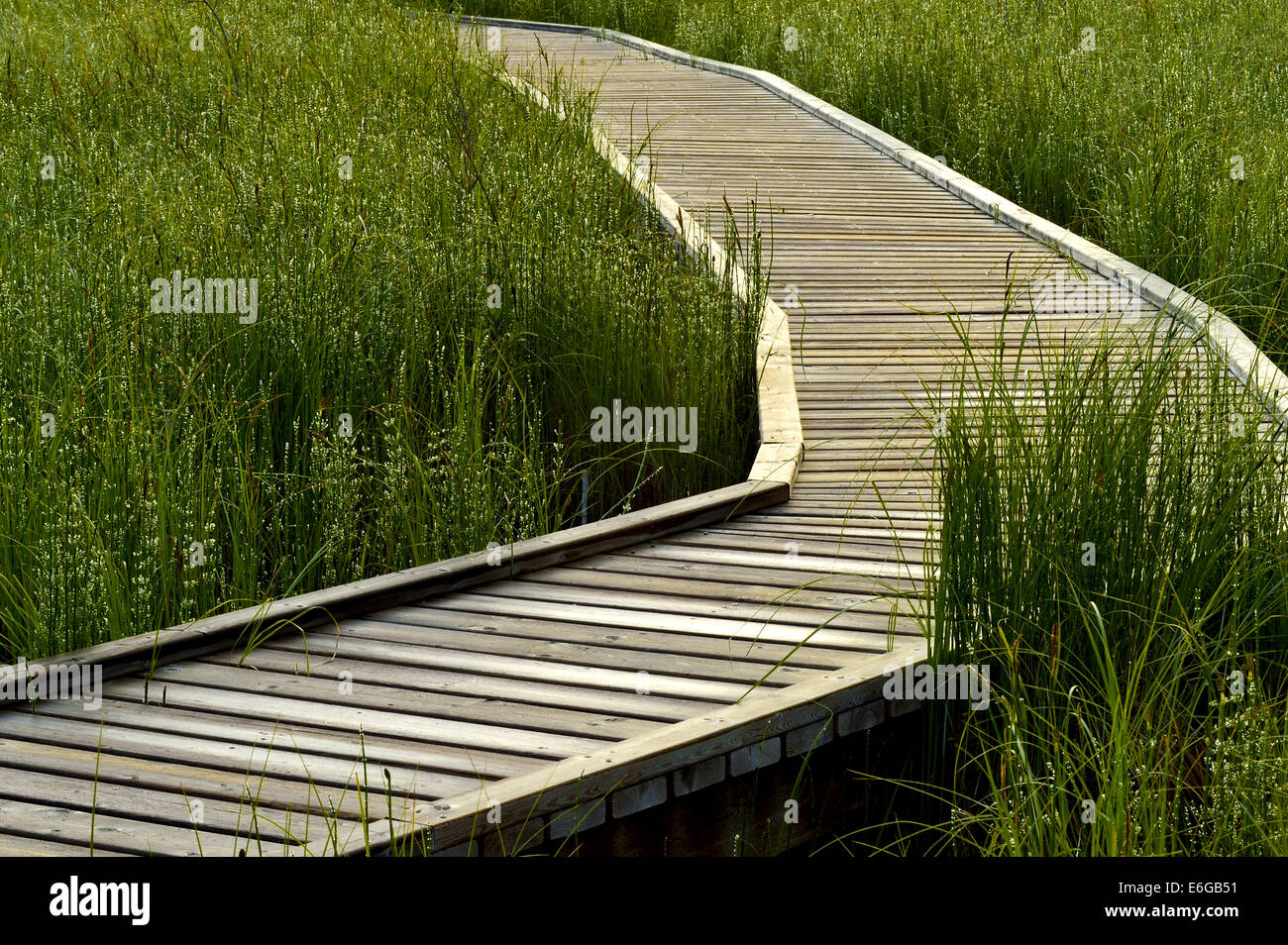 Walk way boardwalk path nature hi-res stock photography and images - Alamy