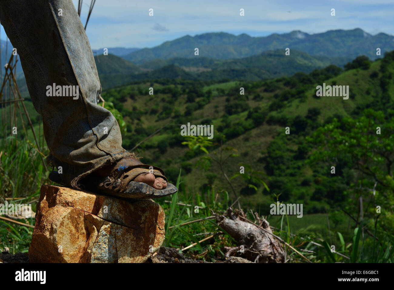Aug. 8, 2014 - Mapulaca, Lempira, Honduras - A Honduran farmer takes a ...