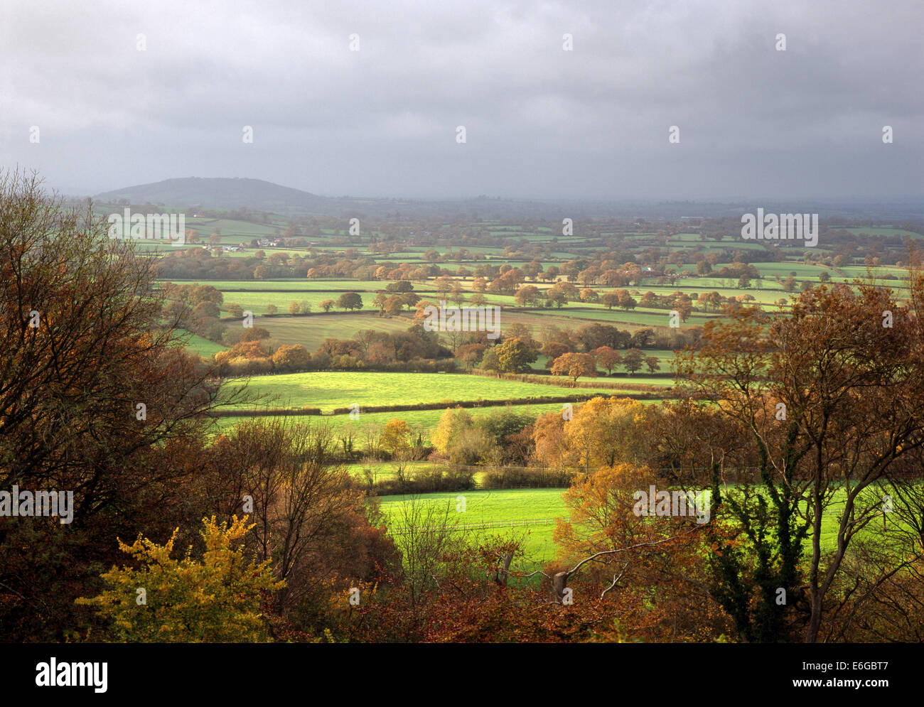 Farmland of the Blackmore Vale on the Wiltshire - Dorset border ...