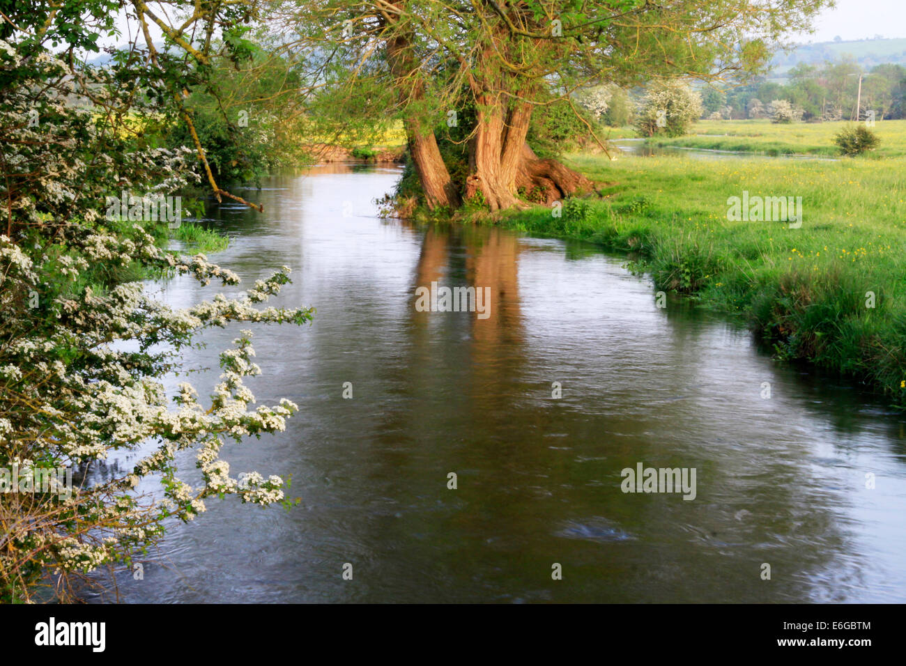 The River Ebble near Odstock in Wiltshire, England Stock Photo - Alamy