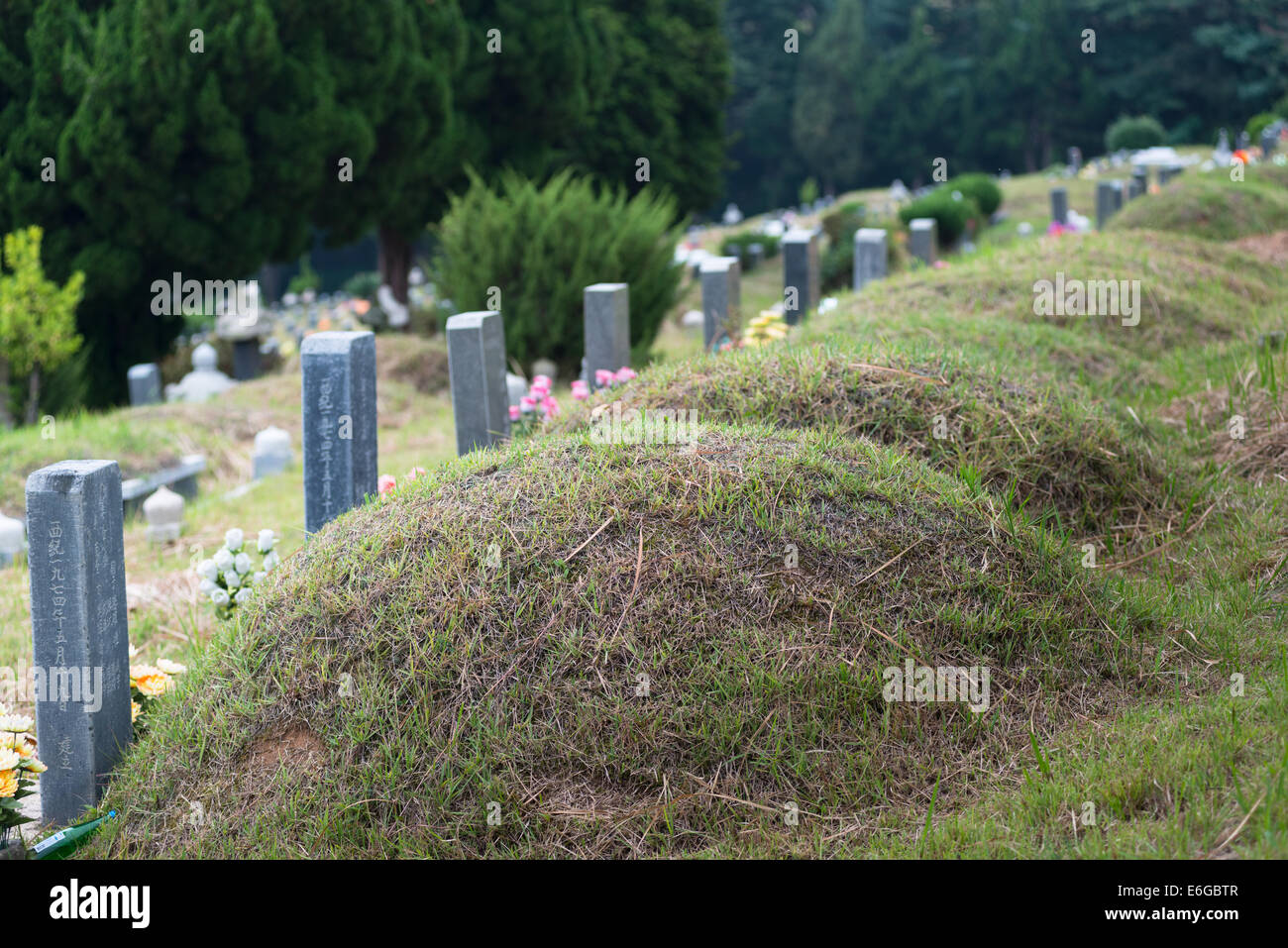 Burial mounds near Busan, South Korea Stock Photo - Alamy