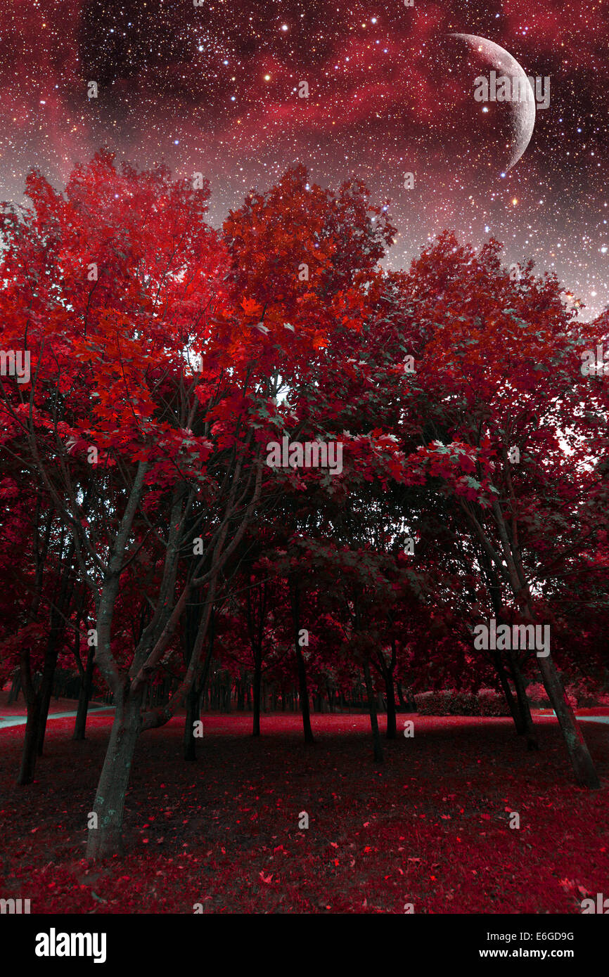 mystical spring night. Elements of this image furnished by NASA summer ...