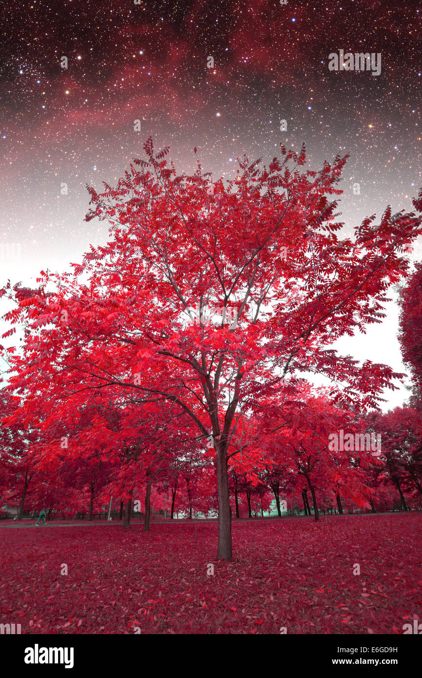 mystical spring night. Elements of this image furnished by NASA summer ...