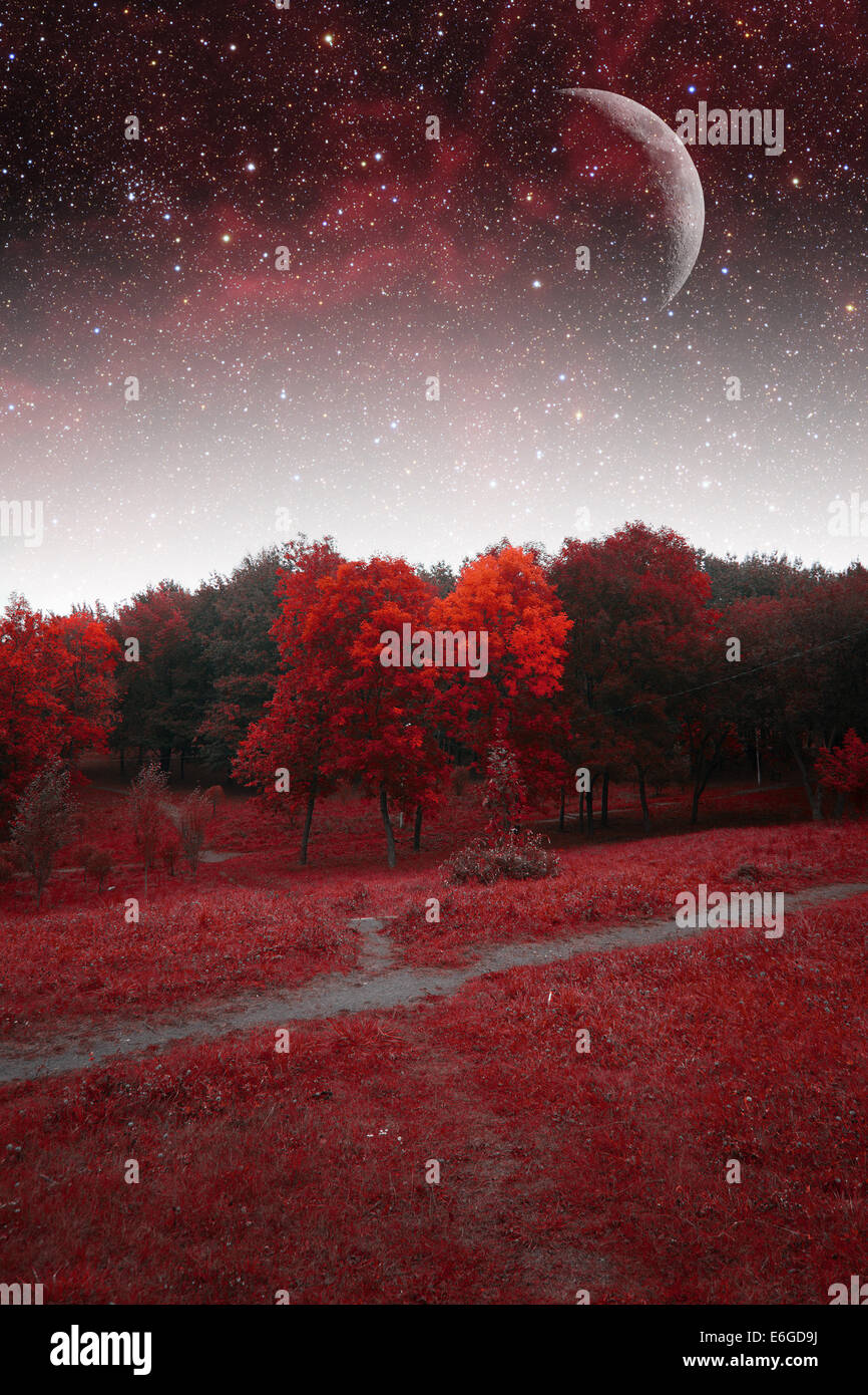 mystical spring night. Elements of this image furnished by NASA summer ...