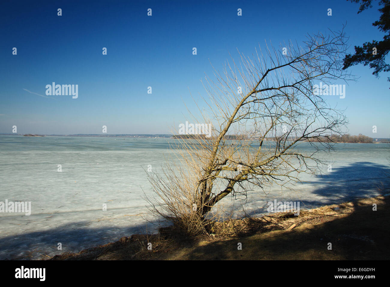 frozen river in spring Stock Photo - Alamy