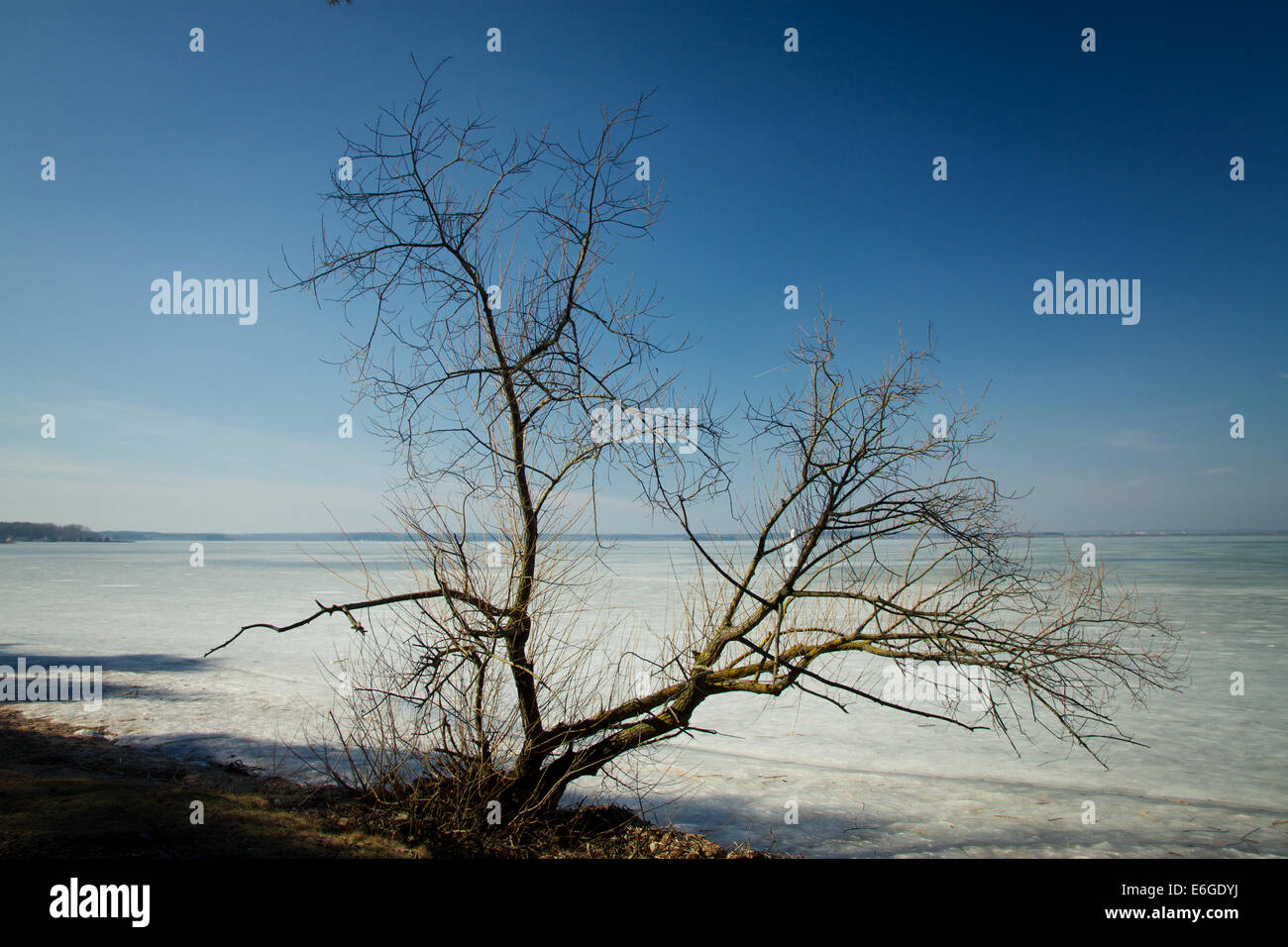 frozen river in spring Stock Photo - Alamy