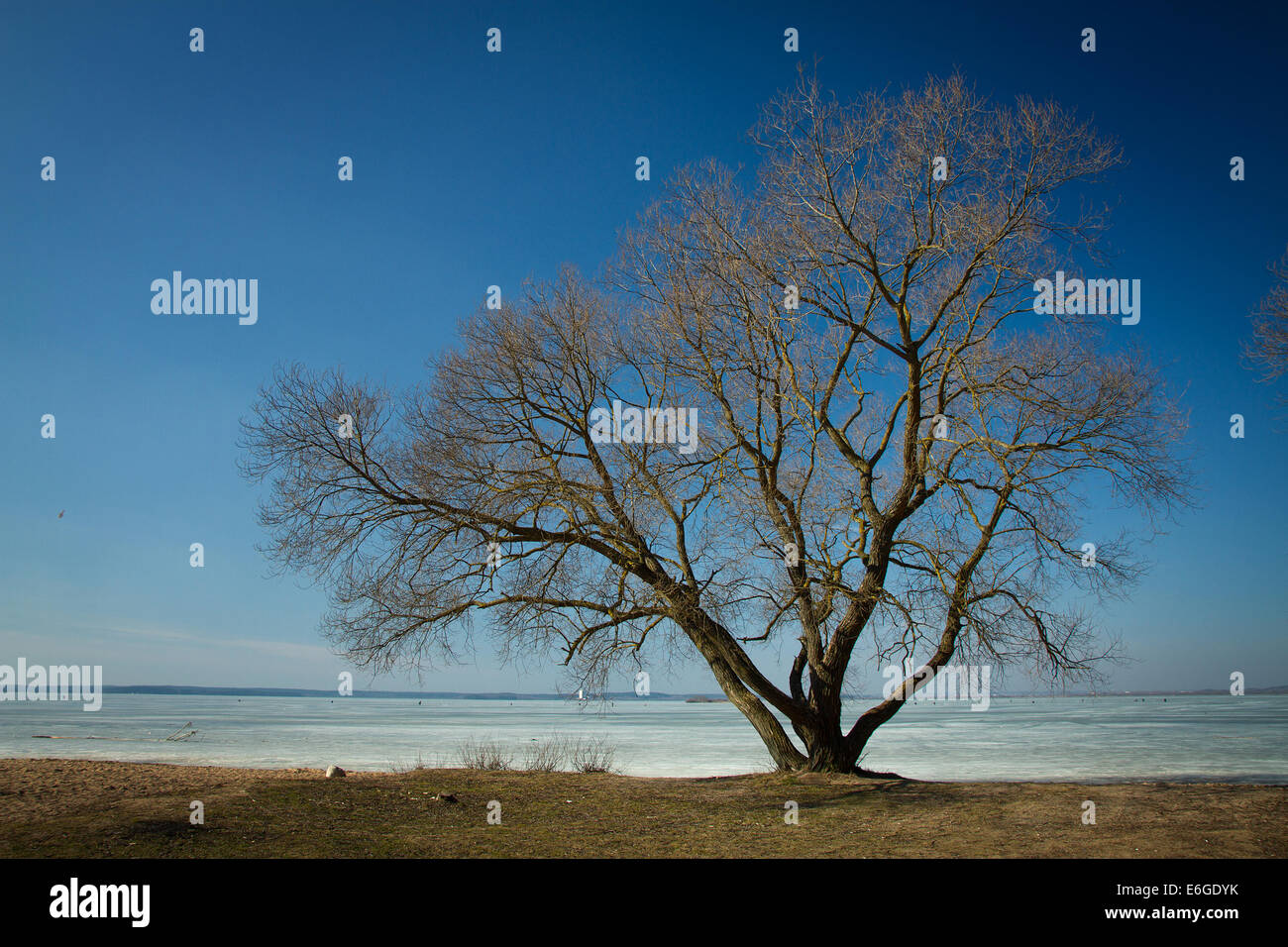 frozen river in spring Stock Photo - Alamy
