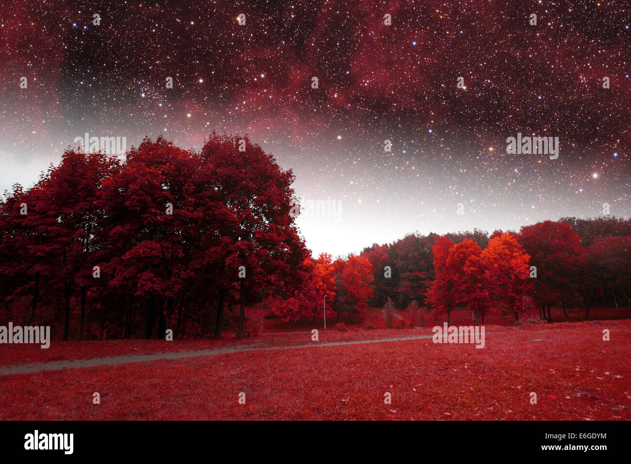 mystical spring night. Elements of this image furnished by NASA summer ...