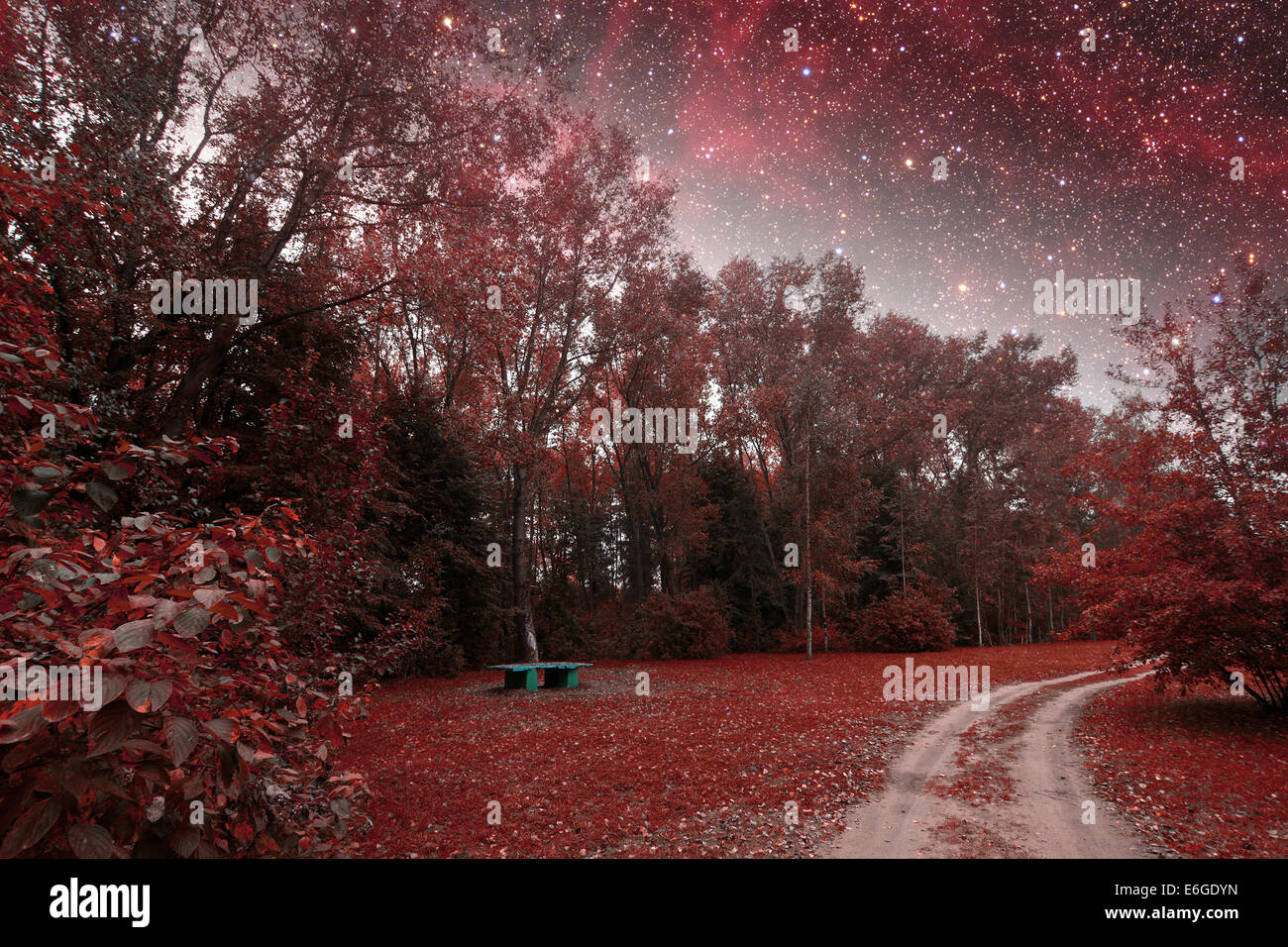 spring night infrared photography. Elements of this image furnished by ...