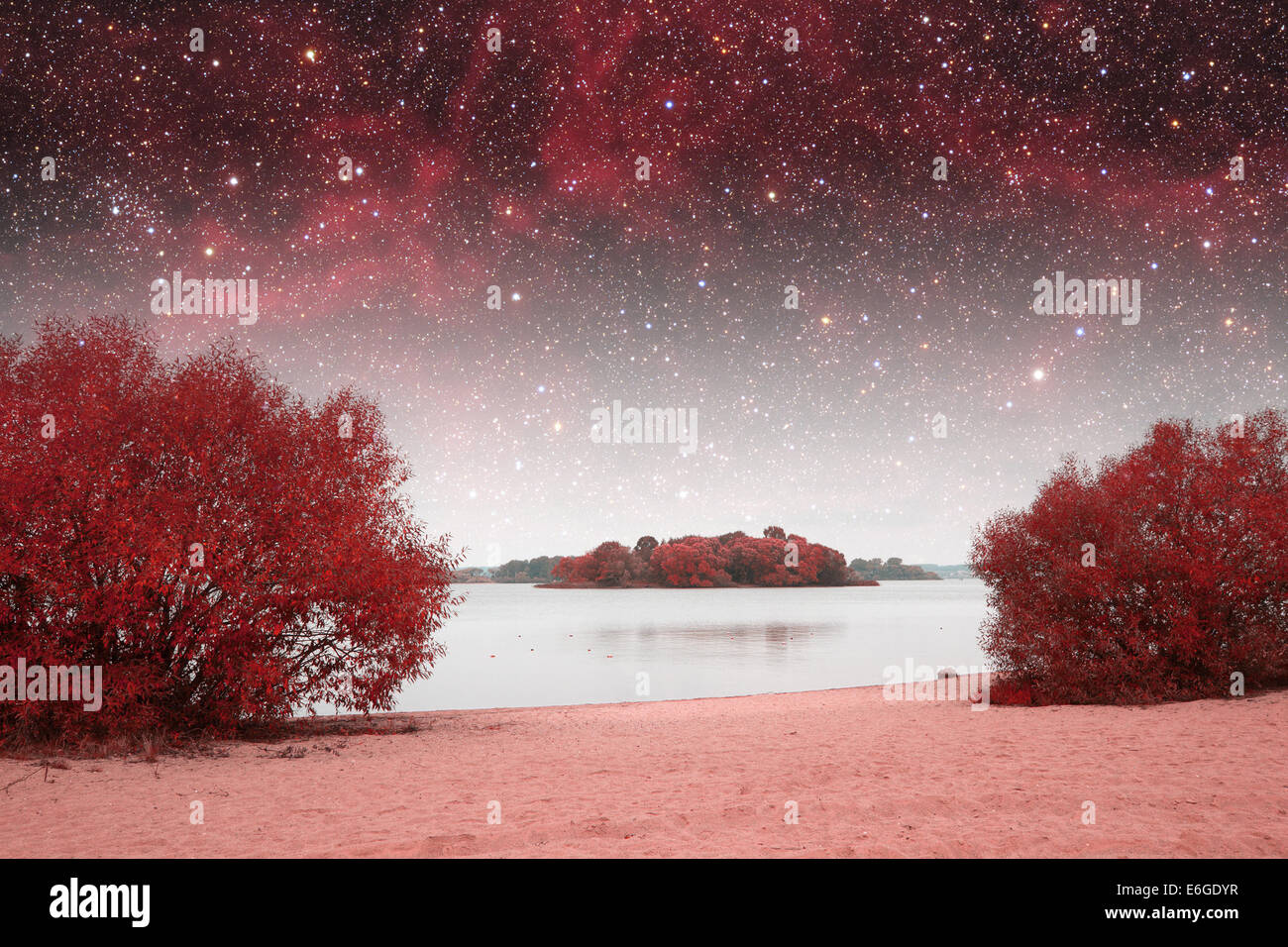 spring night infrared photography. Elements of this image furnished by ...