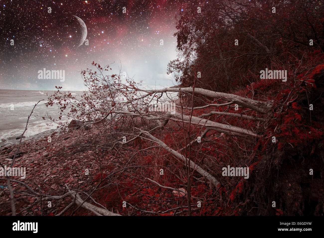 red night at sea. Elements of this image furnished by NASA Stock Photo ...