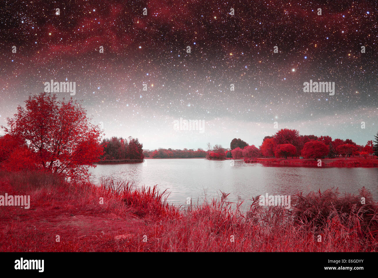 mystical spring night. Elements of this image furnished by NASA summer ...