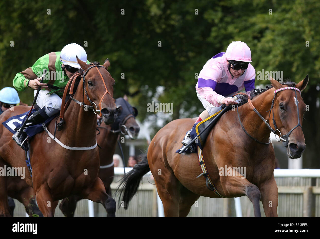 Newmarket july course hi-res stock photography and images - Alamy