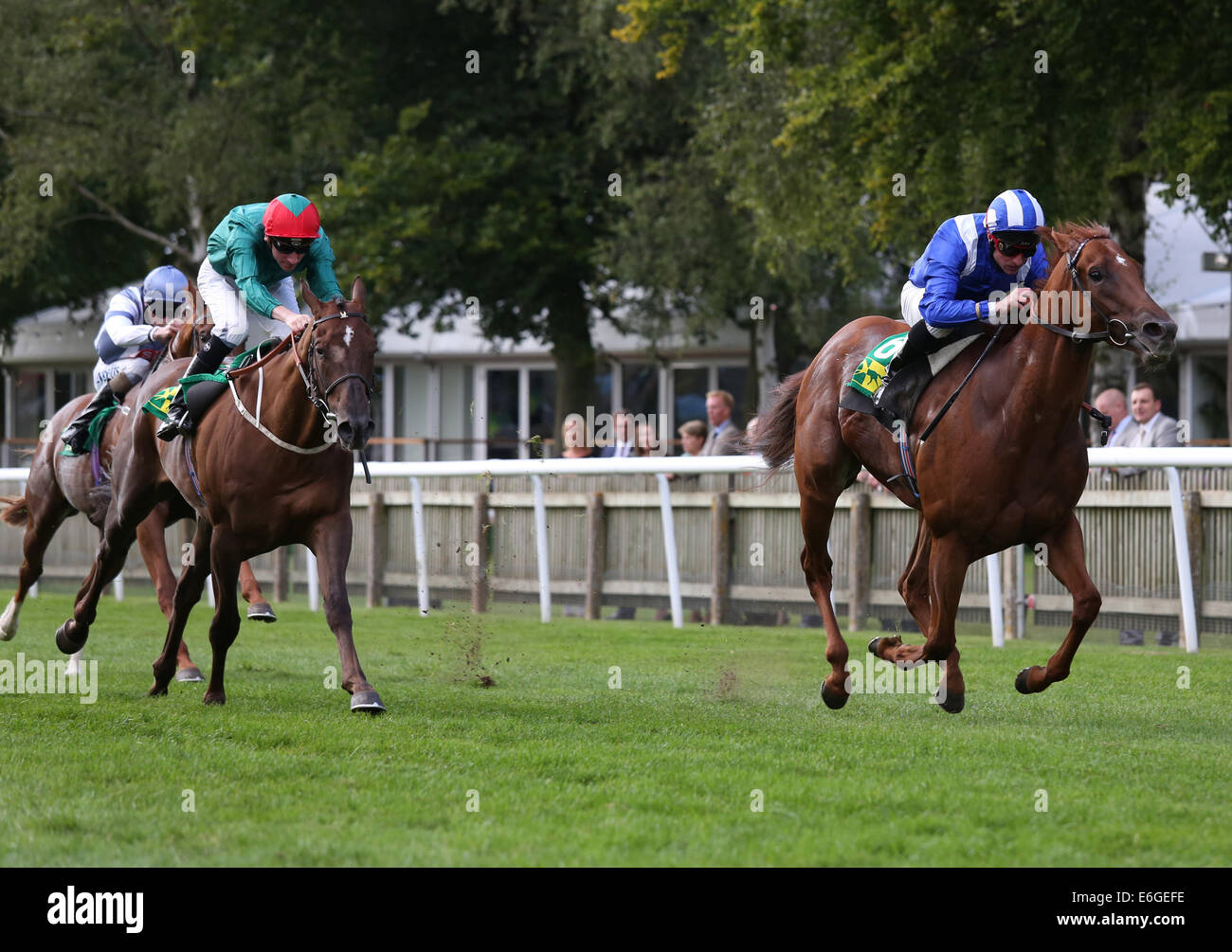 Newmarket july course hi-res stock photography and images - Alamy