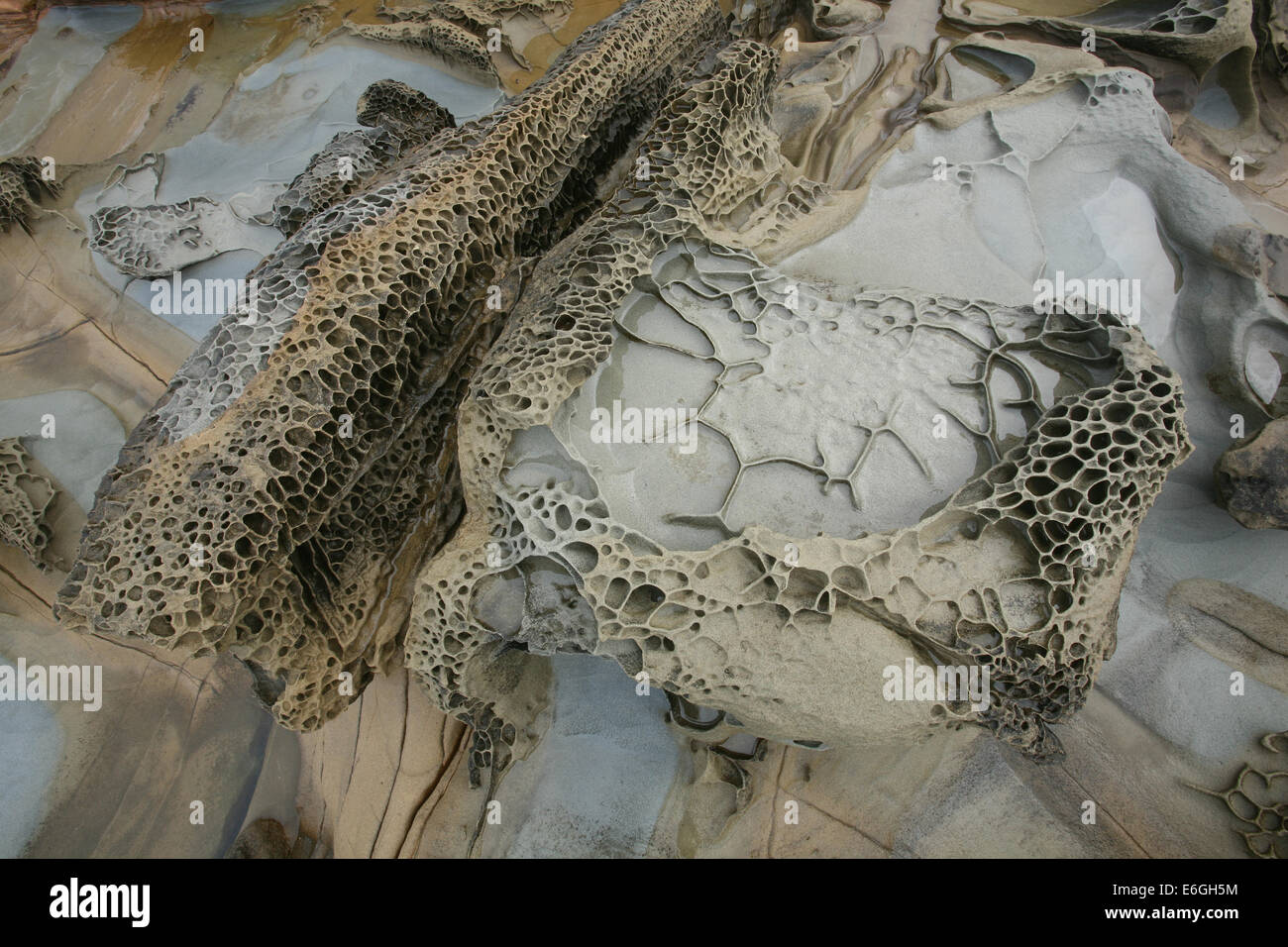 Tafoni formation, salt point state park hi-res stock photography and ...