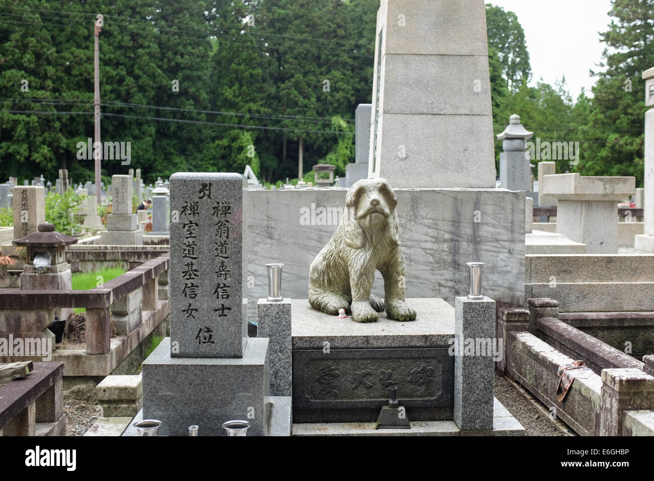 Dog cemetery hi-res stock photography and images - Alamy
