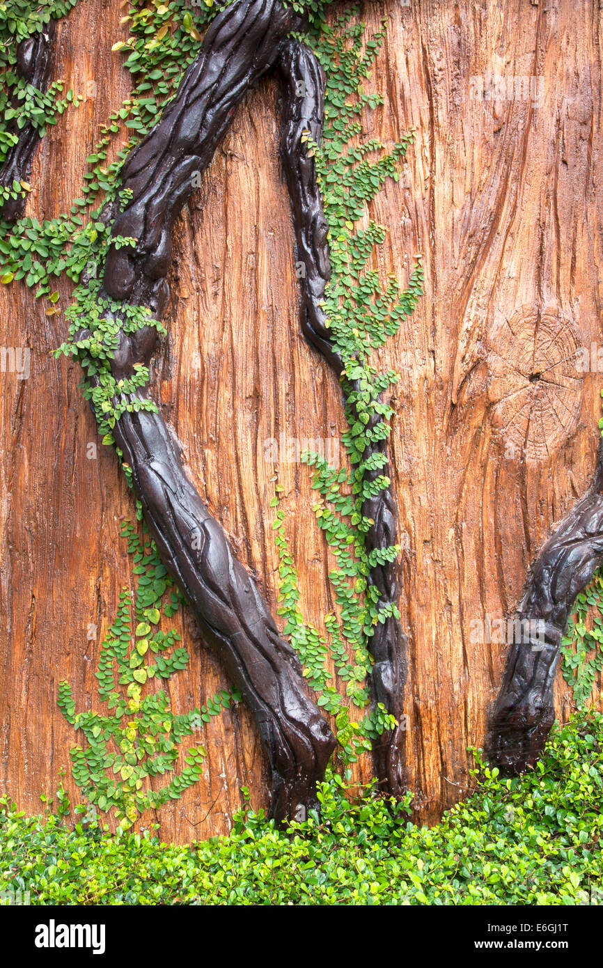 Green creeper plant hi-res stock photography and images - Alamy