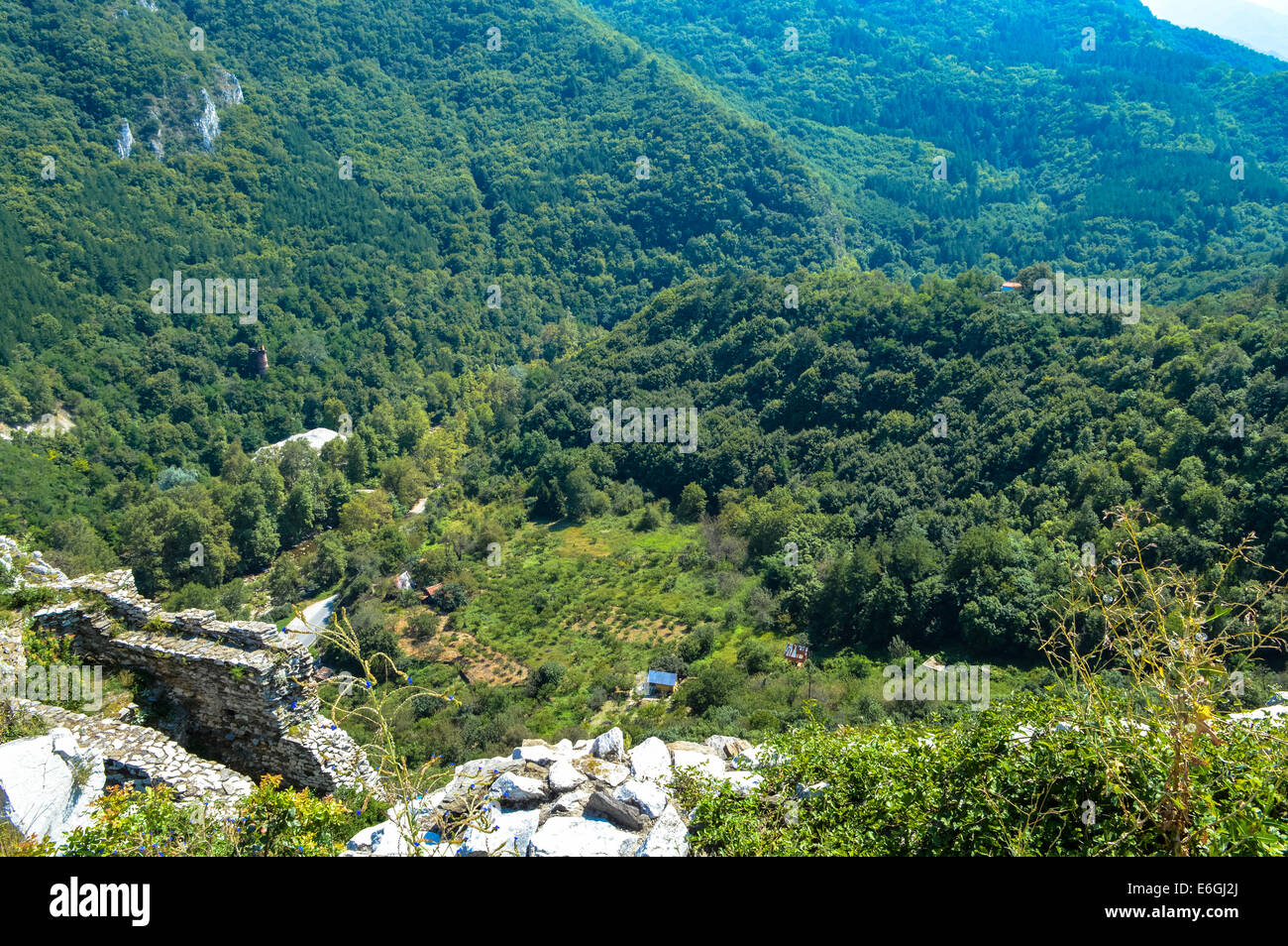 Orchard farm hi-res stock photography and images - Alamy