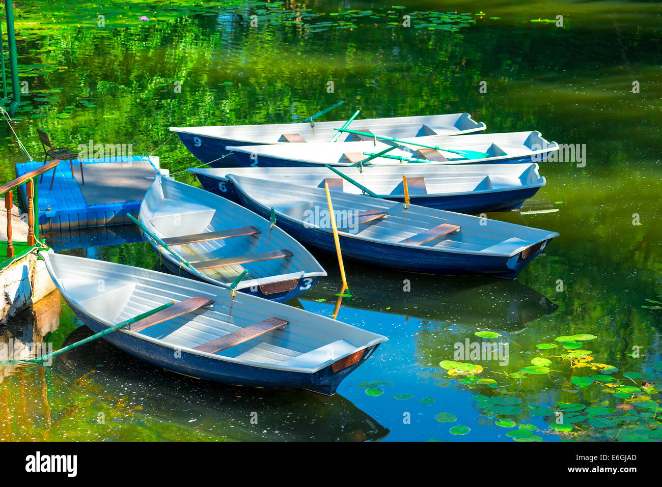 Rowing in water pond hi-res stock photography and images - Alamy