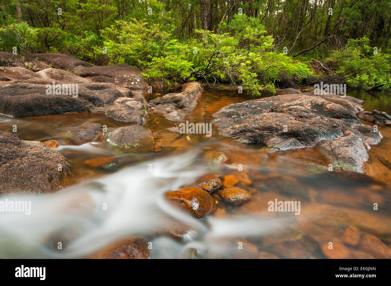 Little Dandahra Creek in Gibraltar Range National Park Stock Photo - Alamy