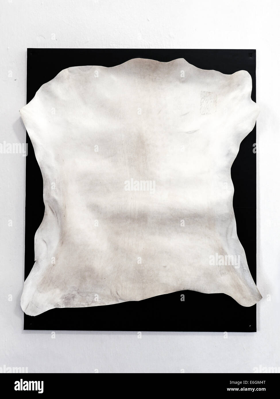 Papyrus paper hi-res stock photography and images - Alamy