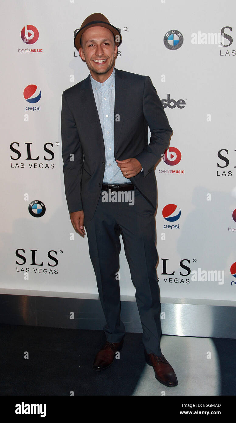 Las Vegas, Nevada, USA. 22nd Aug, 2014. DJ Vice attends the grand ...