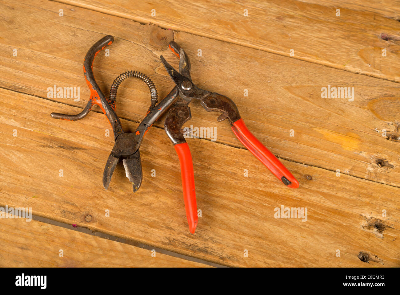 Old pruning shears on a rustic wooden table Stock Photo - Alamy