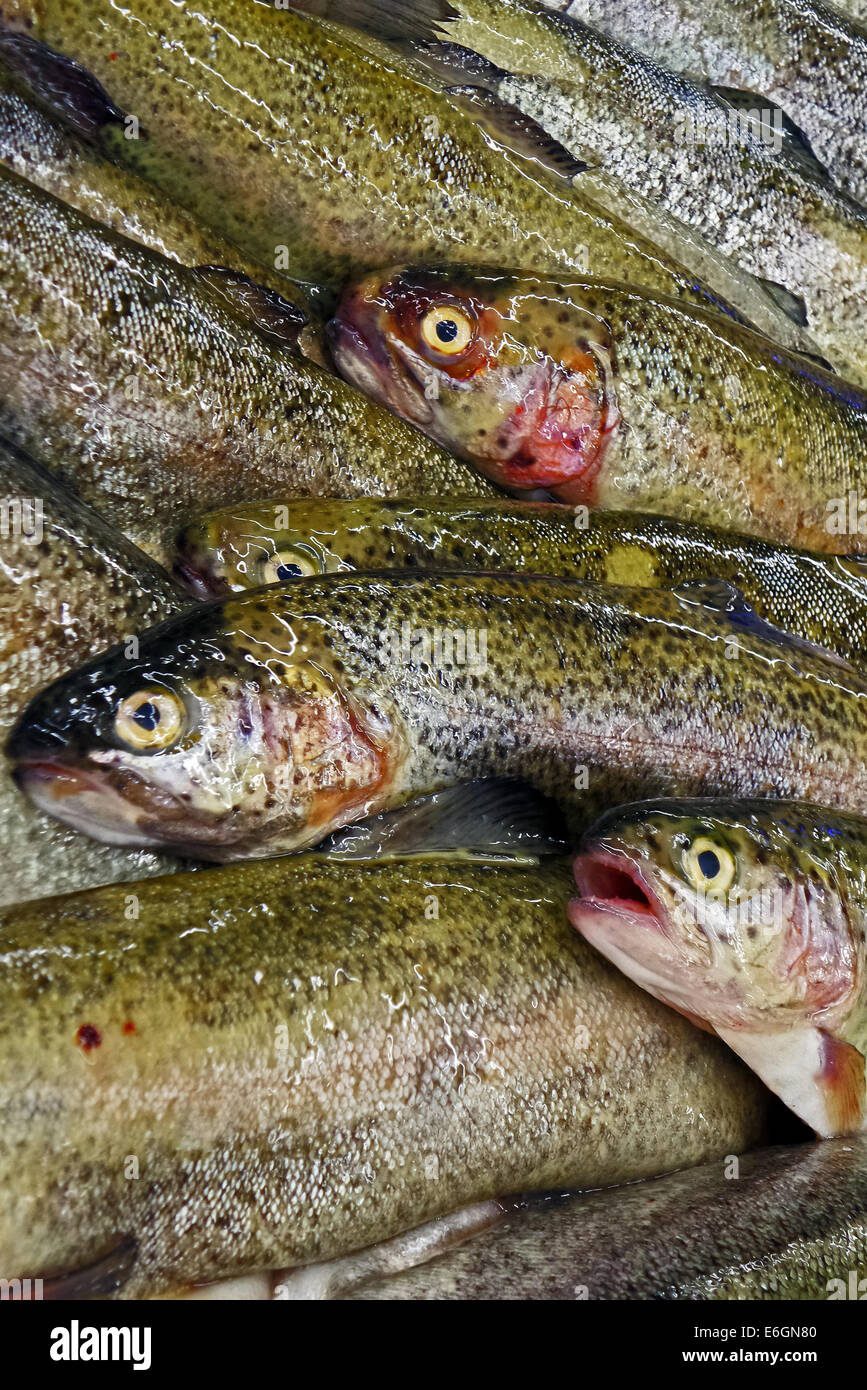 Fish fresh exposed for sale on the market Stock Photo - Alamy