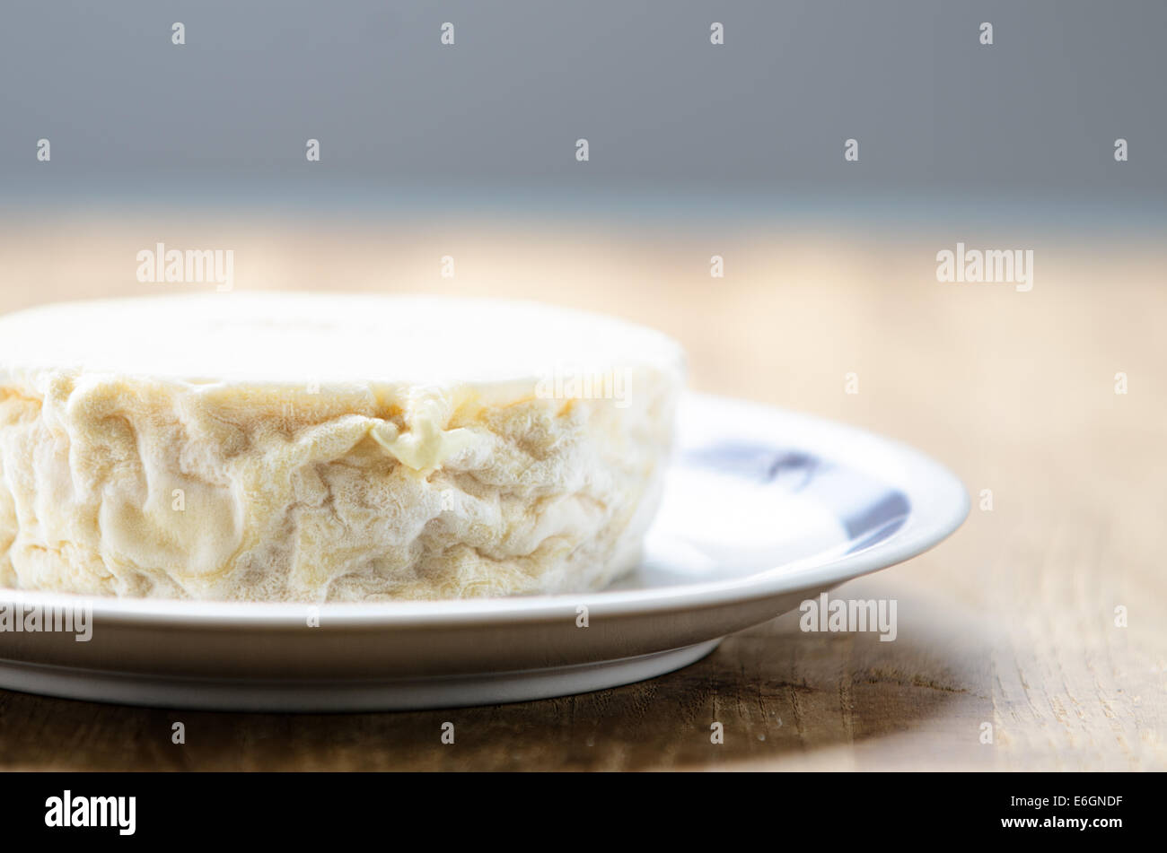 Italian fresh goat cheese called robiola di Roccaverano Stock Photo - Alamy