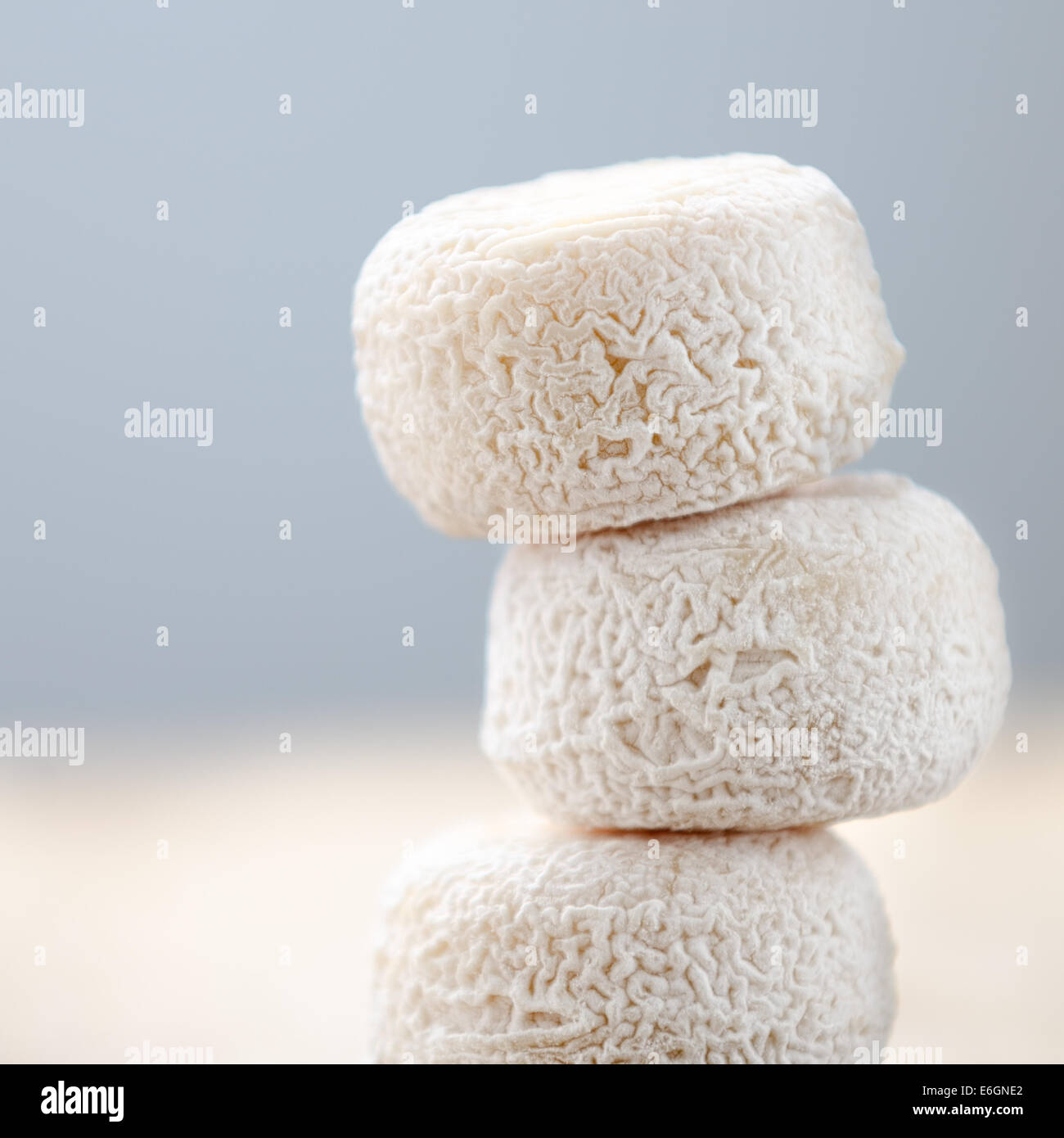 French fresh goat cheese called crottin de chavignol Stock Photo - Alamy