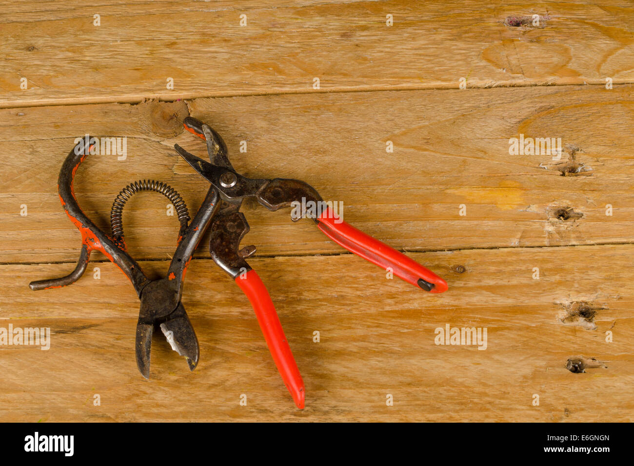 Old pruning shears on a rustic wooden table Stock Photo - Alamy