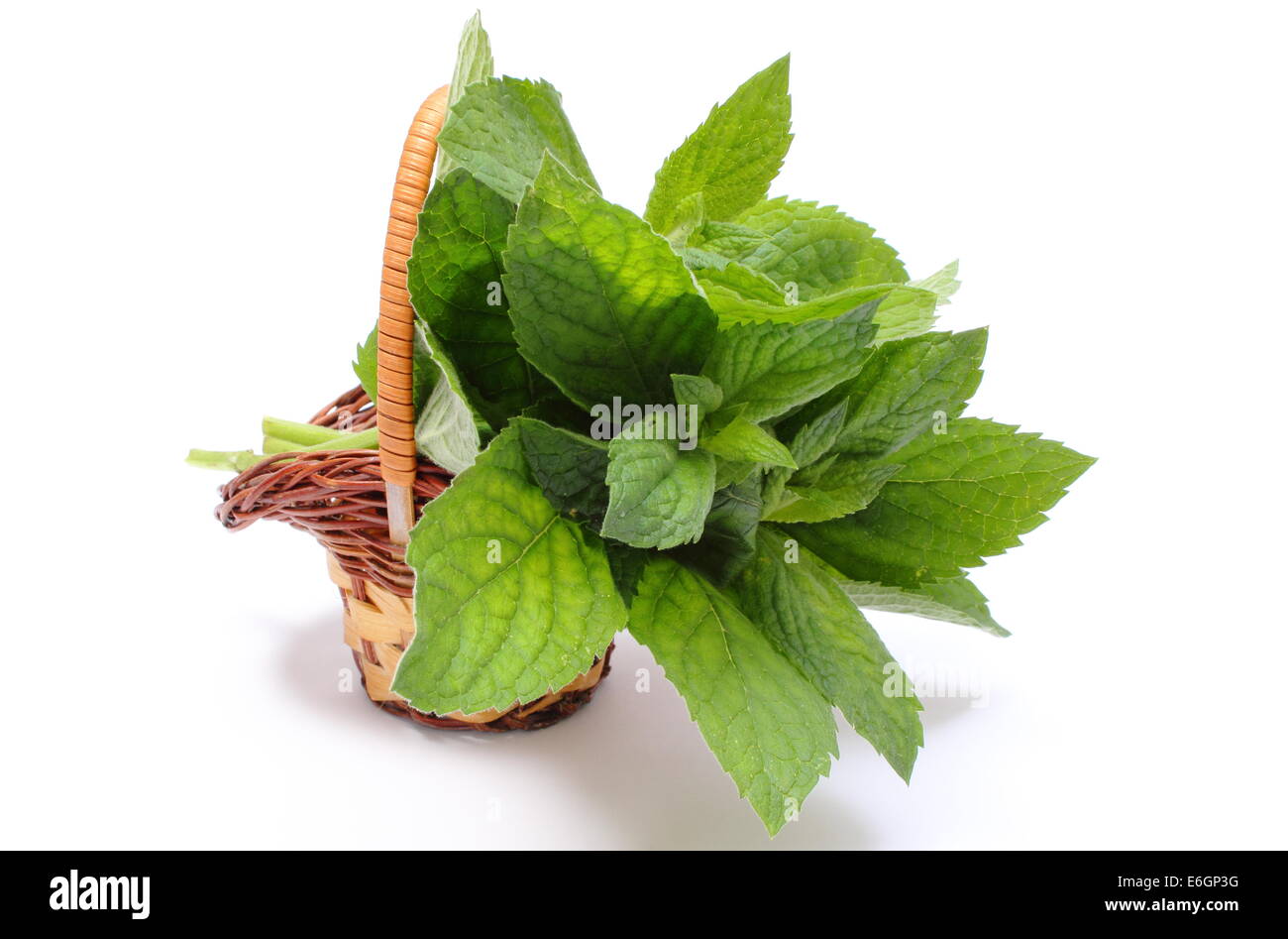 Bunch of fresh natural green mint in wicker basket isolated on white ...