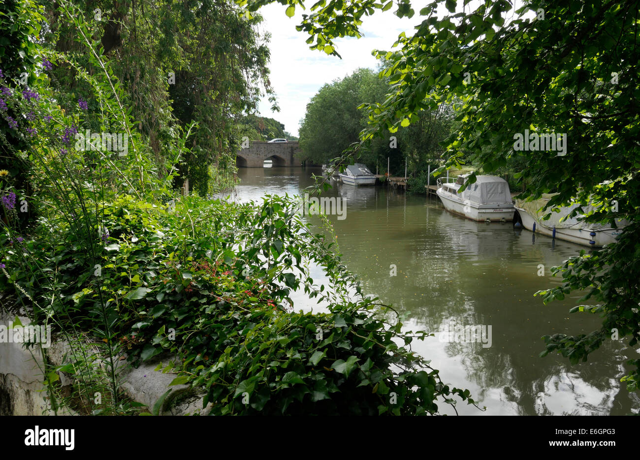 The River Ock at Abingdon Oxfordshire England Stock Photo - Alamy