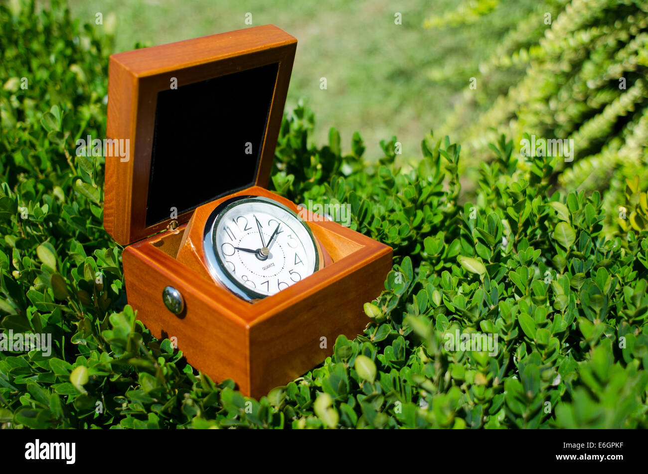 Fancy clock sitting on top of bushes Stock Photo - Alamy