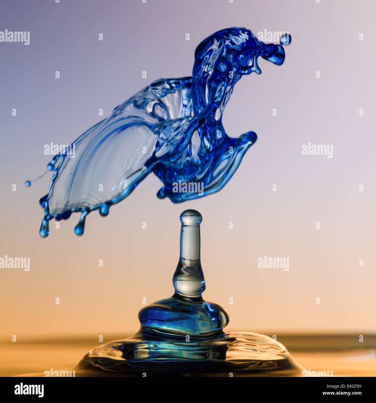 How to do water droplet photography hi-res stock photography and images ...
