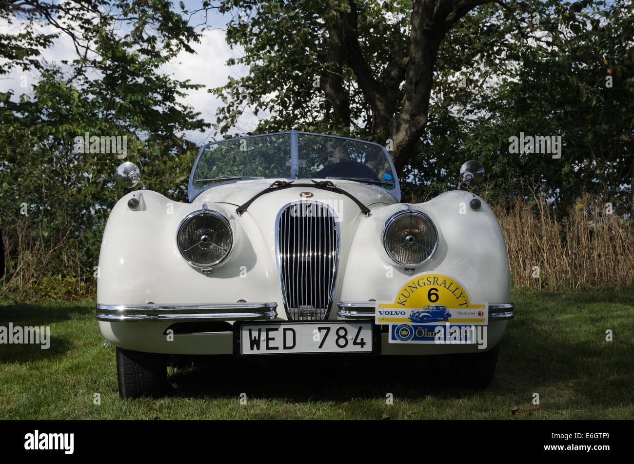 Jaguar XK 120 SE/C Roadster (1954) in oldtimer rally in Sweden Stock ...