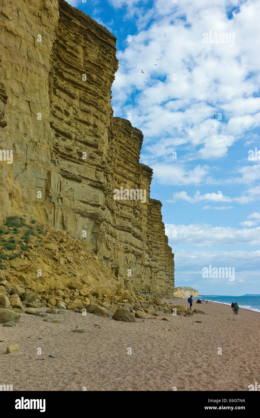 Rock fall erosion of sea cliffs and beach at West Bay, Dorset, England ...