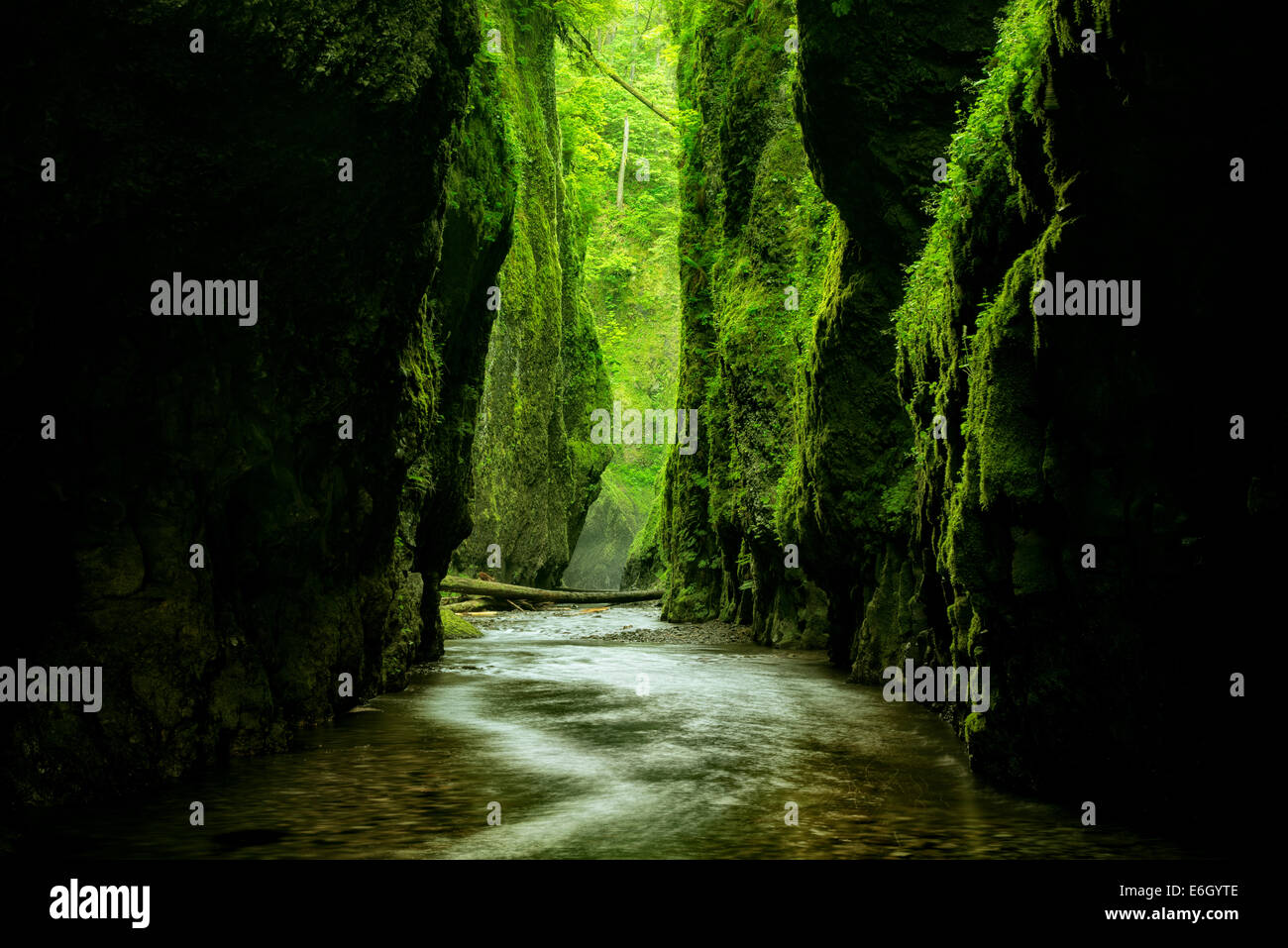 Oneonta creek oneonta gorge hi-res stock photography and images - Alamy